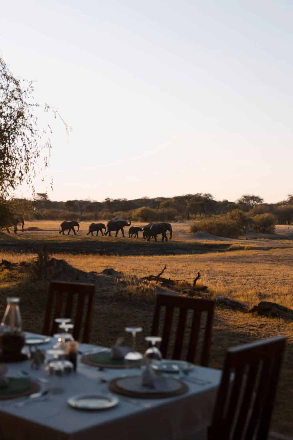 The Hide Main Camp | The Hide - Luxury Hwange Safari Camp Zimbabwe